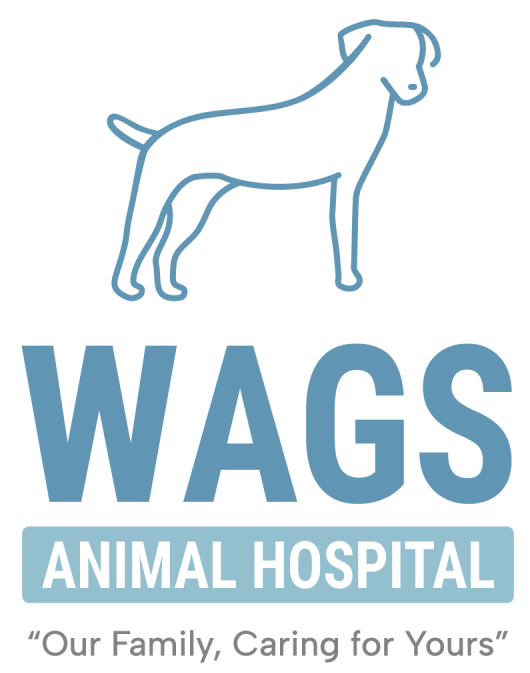 Accessibility Statement | WAGS Animal Hospital
