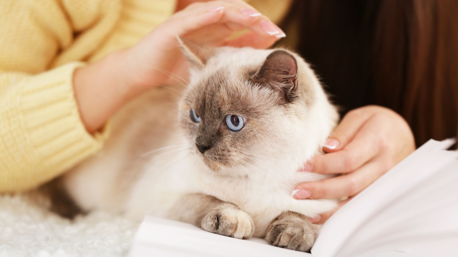 Drop-off Consent Form | WAGS Animal Hospital