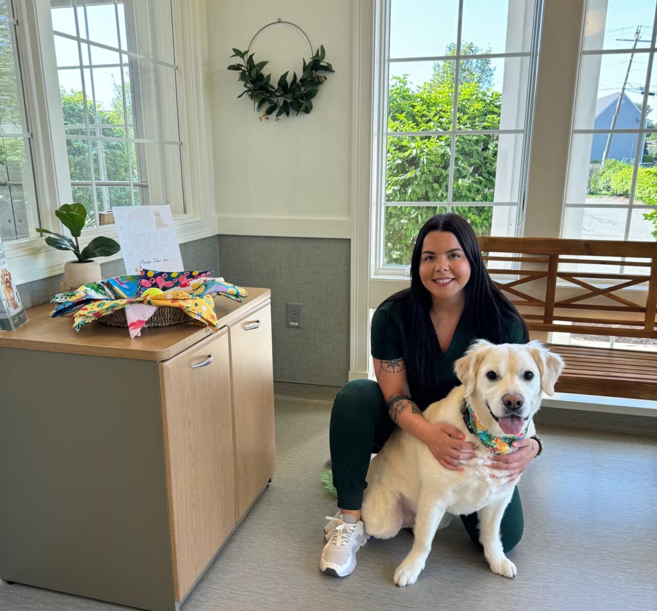 Best Veterinary Hospital In Plainville, MA | WAGS AH