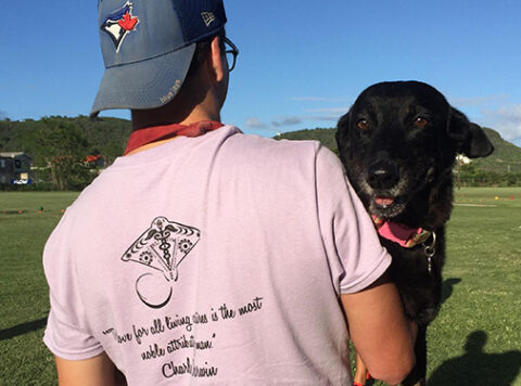 Meet Our Mascot | WAGS Animal Hospital